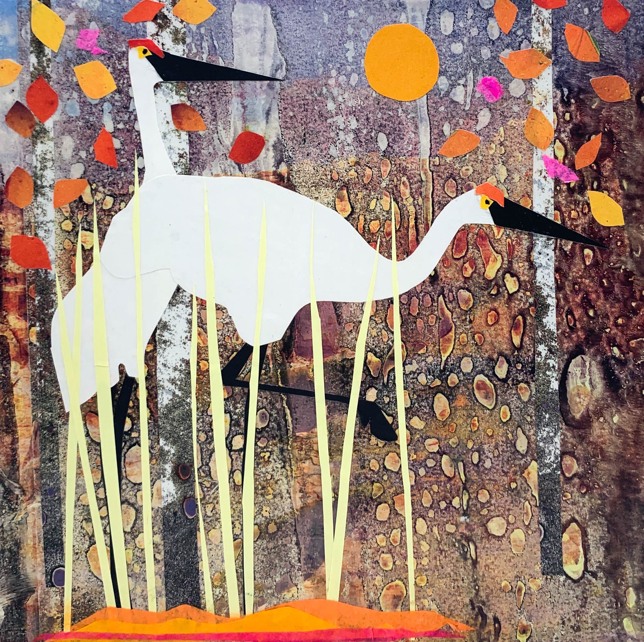 Exploring A New Sanctuary – Plum Bottom Gallery